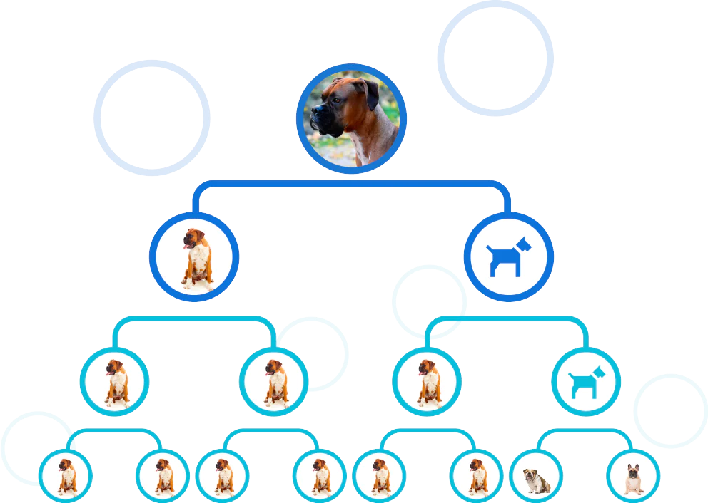 Pet DNA test breeds | Animal breed test kit for mixed breeds